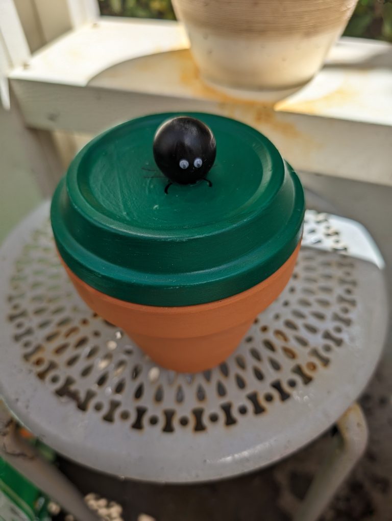 Olla Water System - The Blog of Teresa