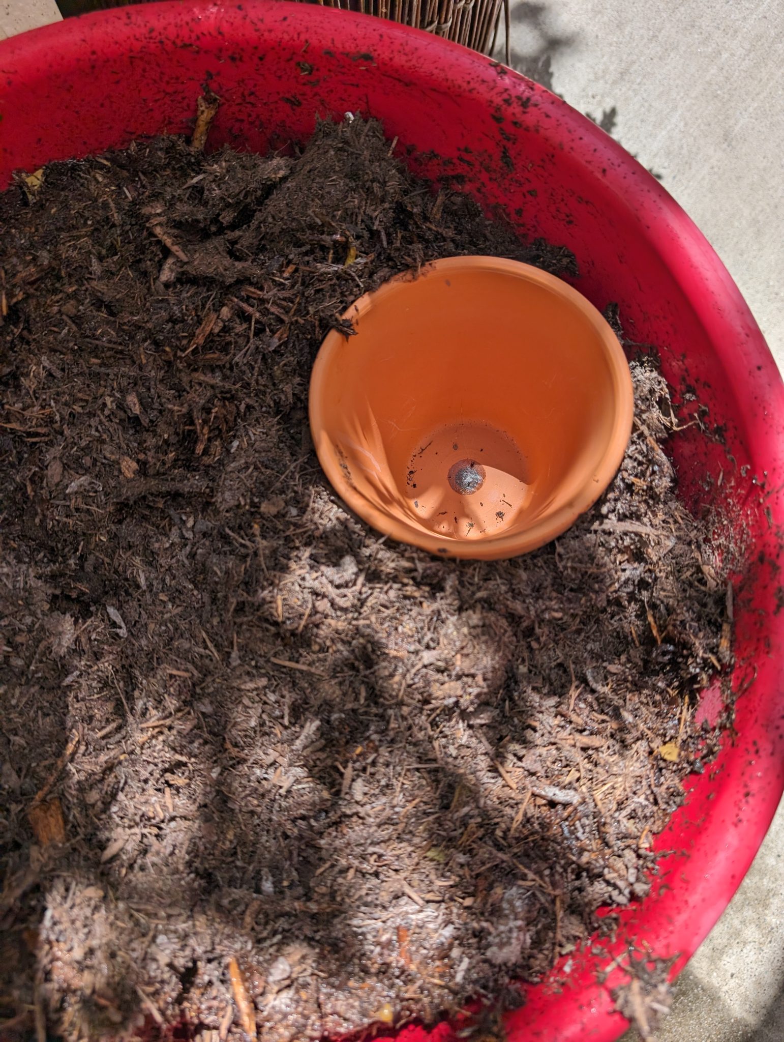 Olla Water System - The Blog of Teresa